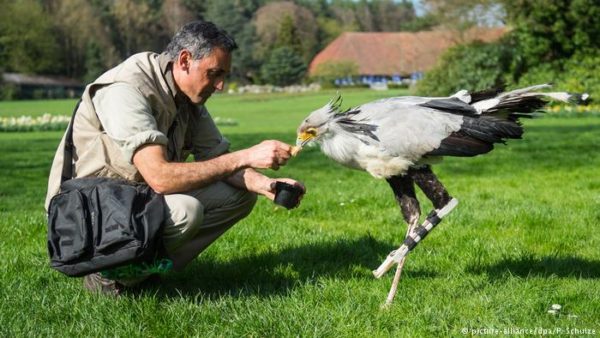 e-NABLE Community Expands to Create 3D Printed Animal Prosthetics ...